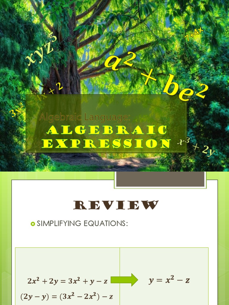 Demo Algebraic Expression | PDF | Multiplication | Equations