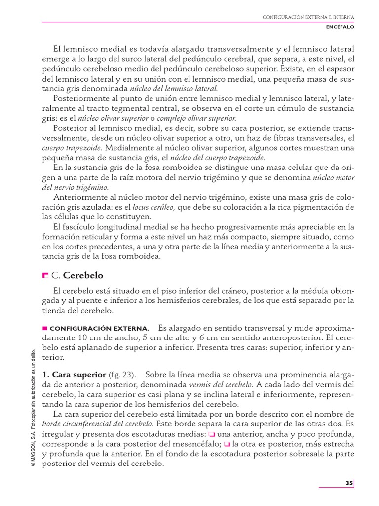 Anatomia ROUVIERE Tomo 4-37-42 | PDF | Cerebelo | Médula espinal