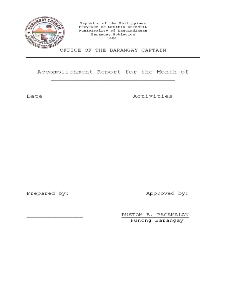 BHW Accomplishment Report | PDF