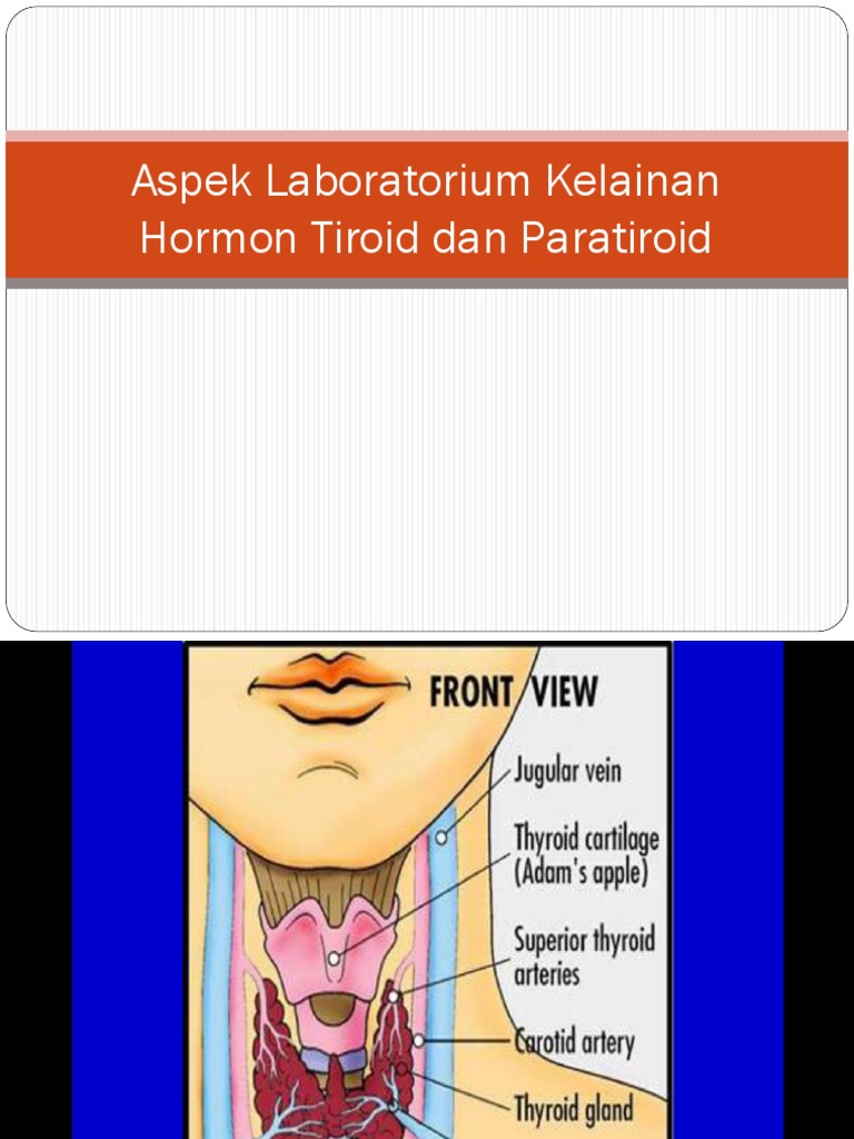 Aspek Laboratorium Kelainan Hormon Tiroid Dan Paratiroid 2016 | PDF ...