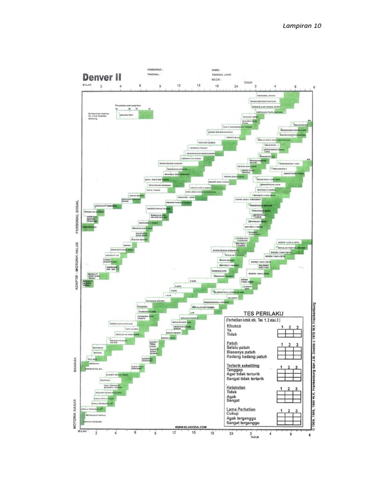 Denver II | PDF