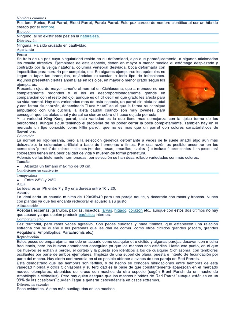 Pez Perico Info | PDF | Animales acuáticos | Pescado