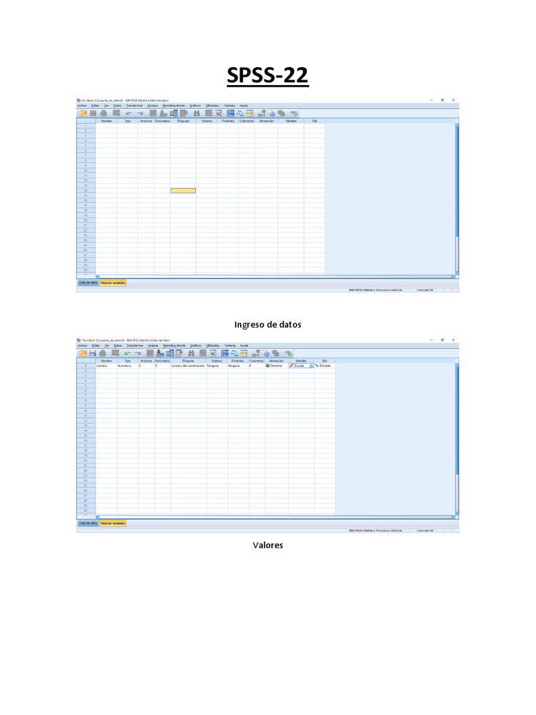 Manual - SPSS 22 | PDF