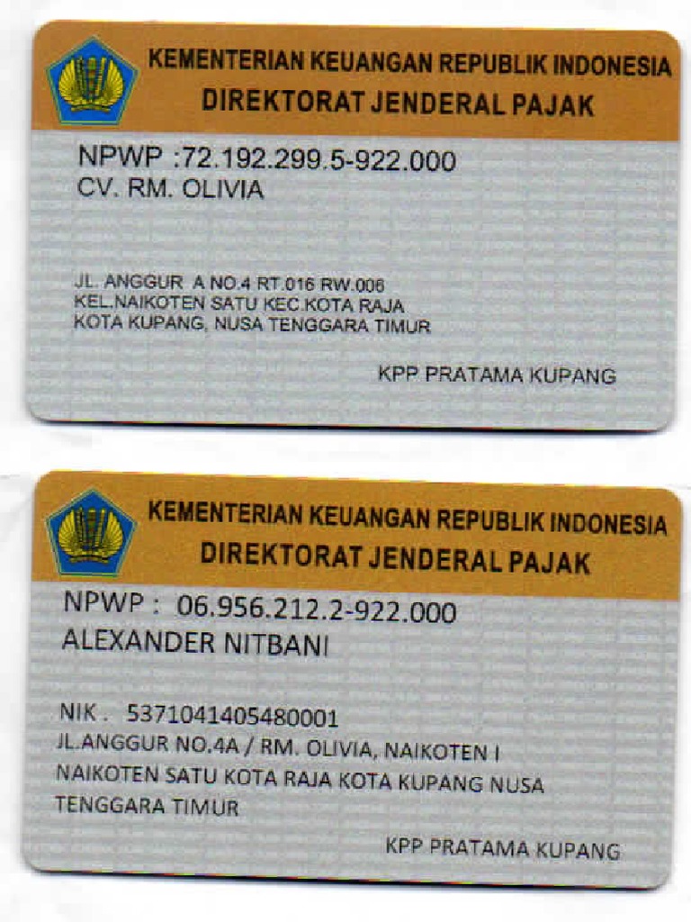 NPWP | PDF