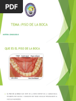 Anatomía y Límites de la Región Maseterina | PDF | Cabeza y cuello ...