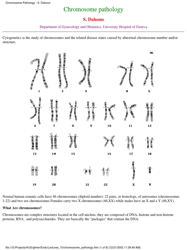 Chromosome Pathology: S. Dahoun | Download Free PDF | Cytogenetics ...