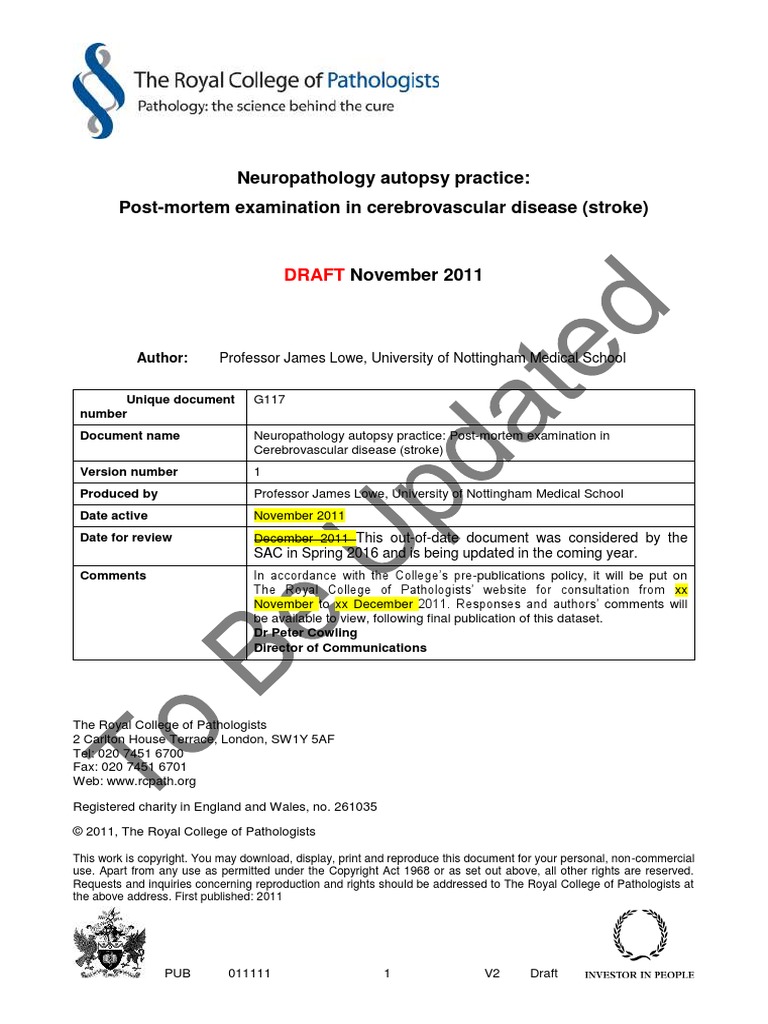 Neuropathology Autopsy Practice Post Mortem Examination in ...