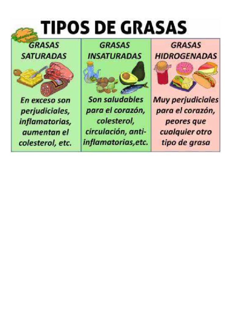 Tipos de Grasa | PDF