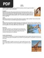 Giraffe Diet and Feeding Ecology Insights | PDF | Giraffe | Herbivore