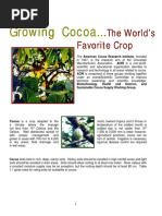 Cacao Production Proposal | PDF | Cocoa Bean | Trees