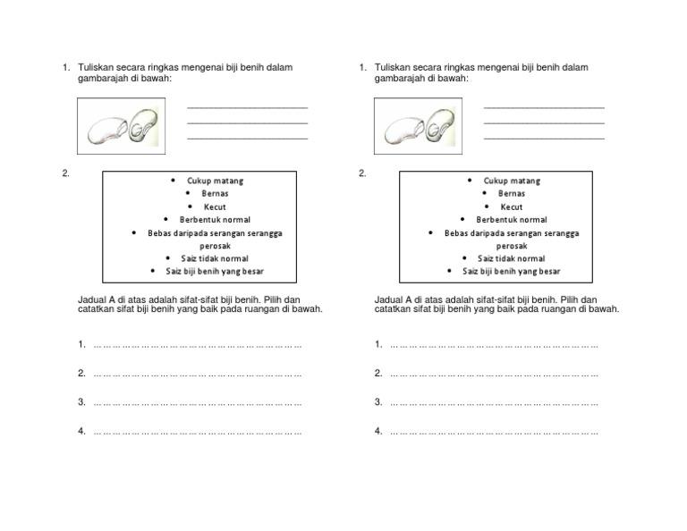 Lembaran Kerja RBT Tahun 5 5.0 | PDF