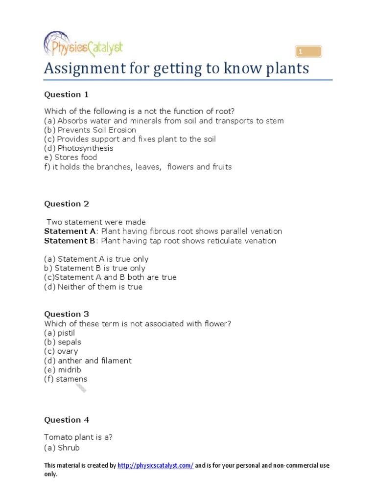 Assignment Class6 Getting To Know Plants 1 | PDF | Leaf | Plants