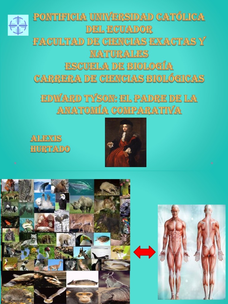 Edward Tyson | PDF | Homo Sapiens | Organismos