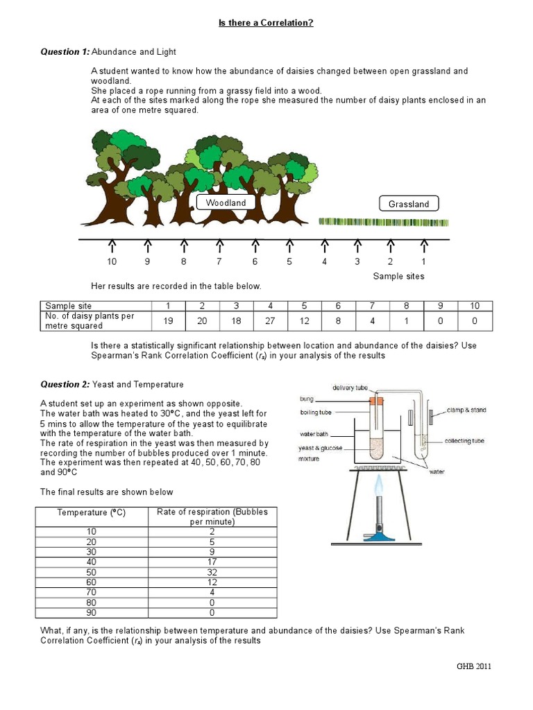 Correlation Exercises Pdf Correlation And Dependence Statistical