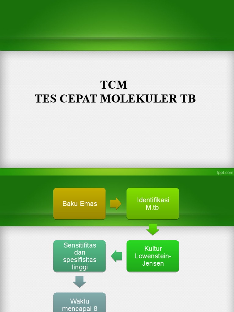 TCM Tes Cepat Molekuler TB | PDF