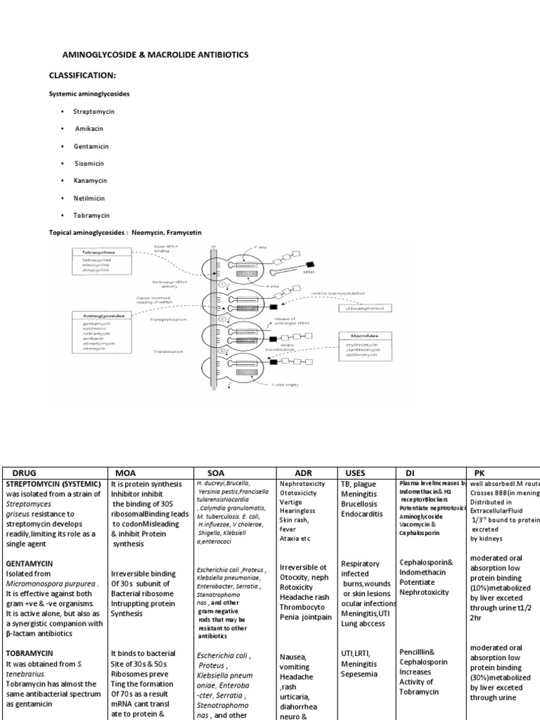 Aminoglycoside & Macrolide Antibiotics Classification:: Systemic ...