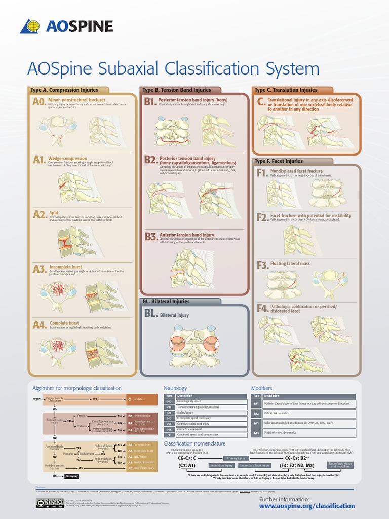 Aospine Subaxial Classification System | PDF | Vertebra | Vertebral Column