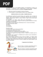 Palancas en la Biomecánica Humana | PDF | Palanca | Articulación