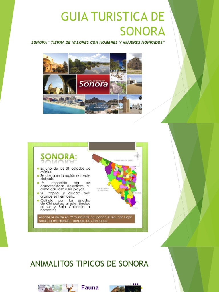 Guia Turistica de Sonora | PDF