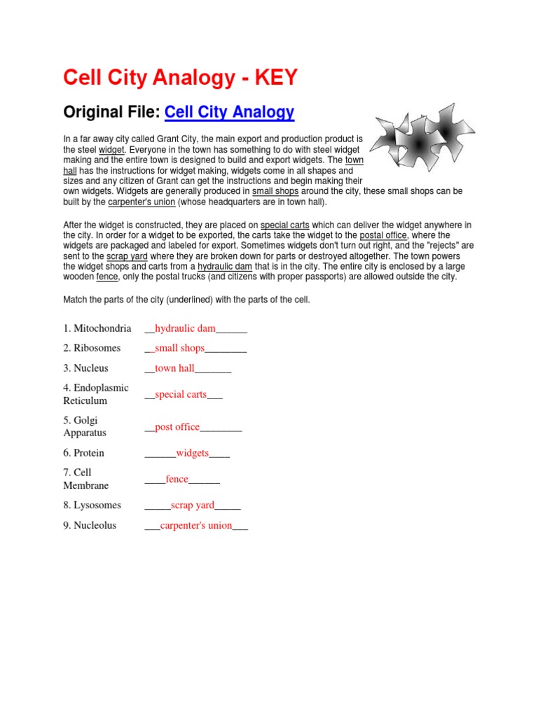 Cell City Analogy Key | PDF