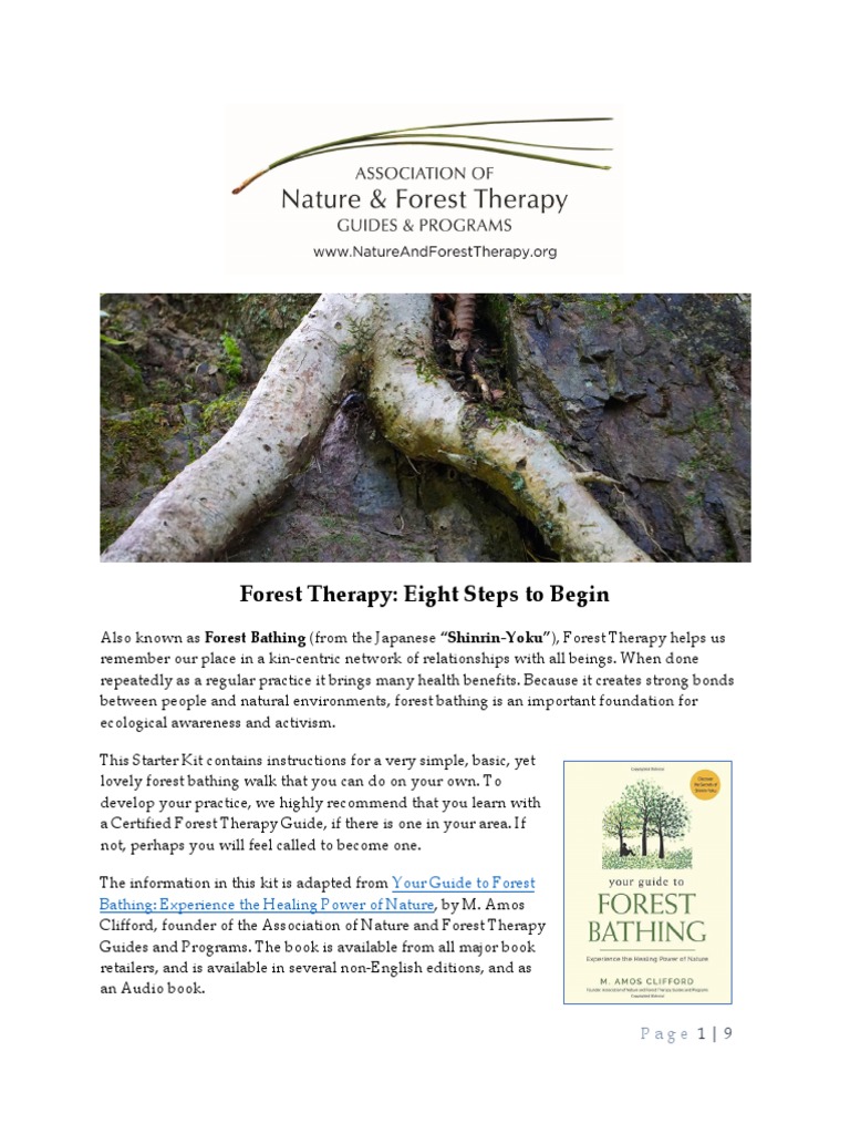 Forest Bathing Guide PDF | PDF | Senses | Trail