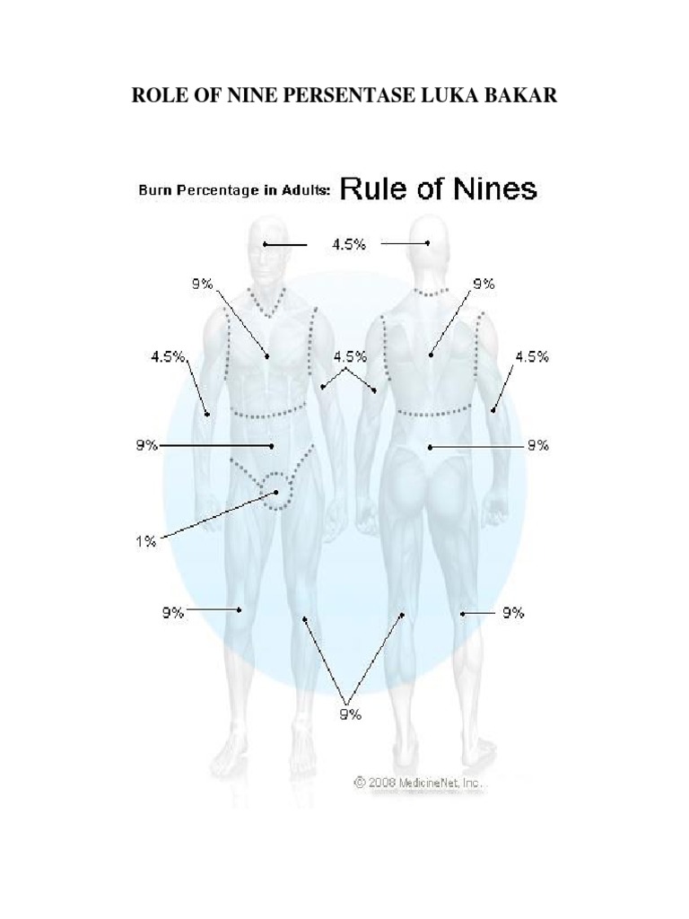 Rule of Nine | PDF