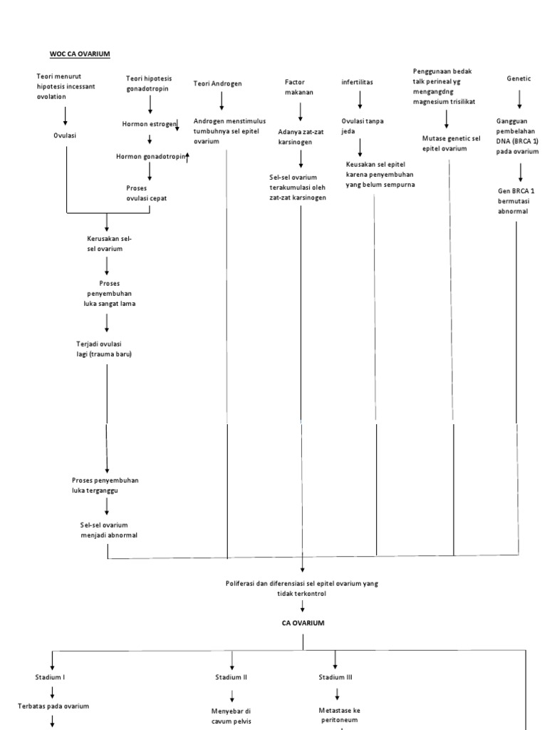 Woc CA Ovarium | PDF