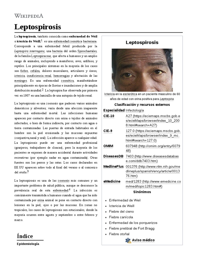 Lepto Spiros Is | PDF | Especialidades Medicas | Medicina CLINICA