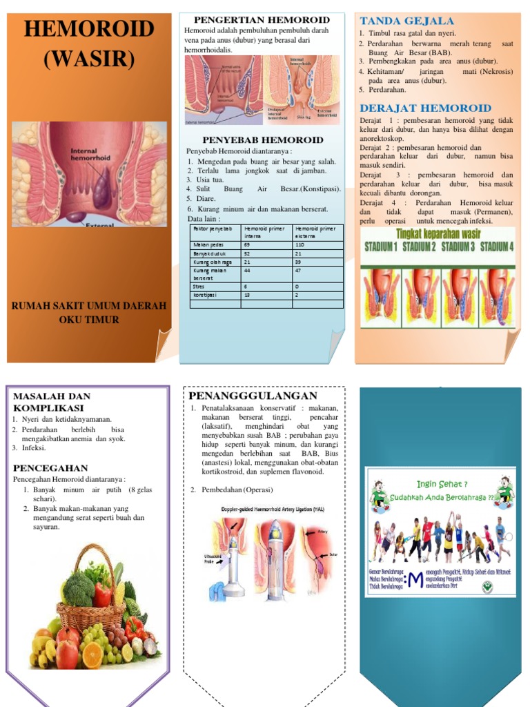 Panduan Lengkap Hemoroid dan Pencegahannya | PDF