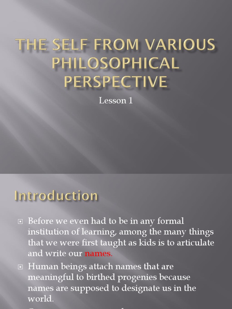 The Self From Various Philosophical Perspective | Download Free PDF ...