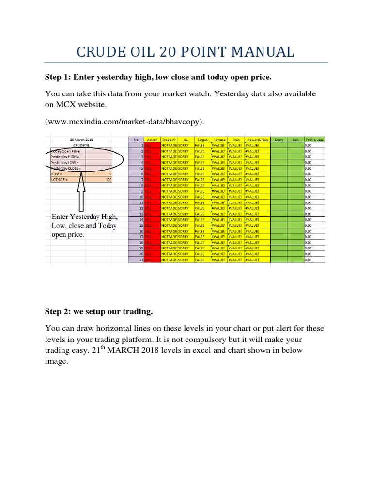 Crude Oil 20 Point Trading Manual | PDF