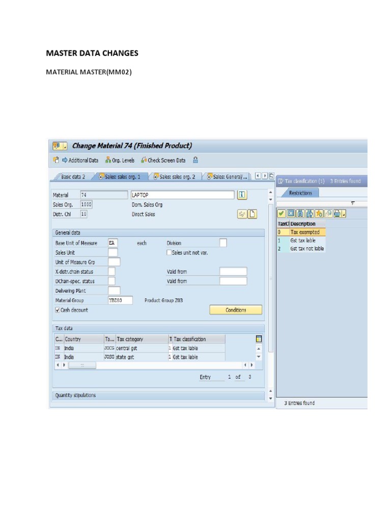 Master Data Changes | PDF