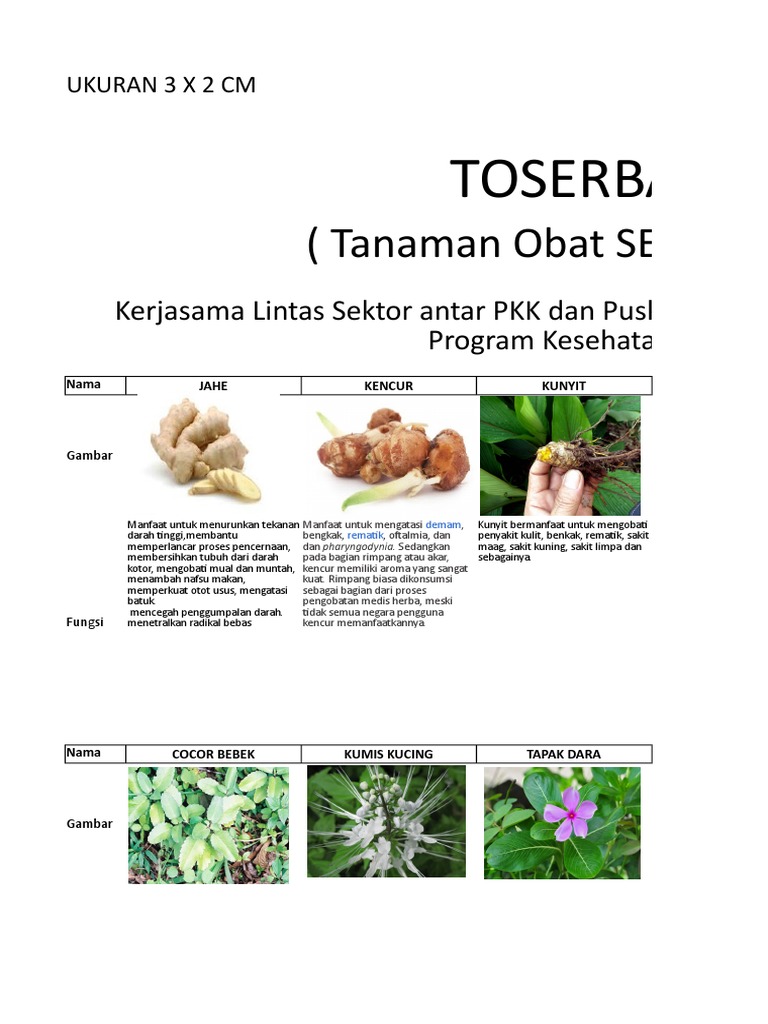 Spanduk Toga | PDF