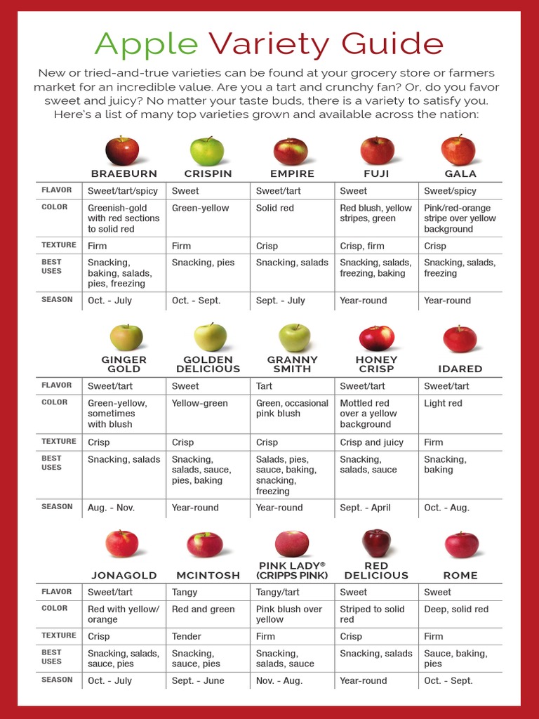 Apple Variety Sweetness Guide | PDF | Edible Fruits | Foods