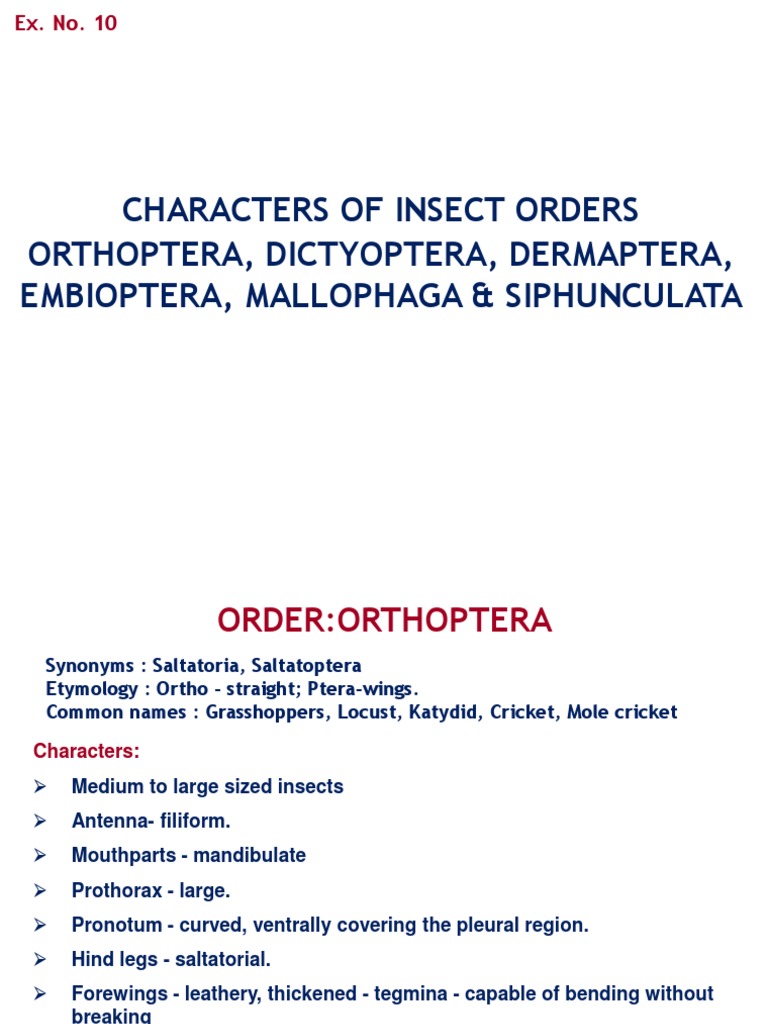 Characters of Insect Orders Orthoptera, Dictyoptera, Dermaptera ...