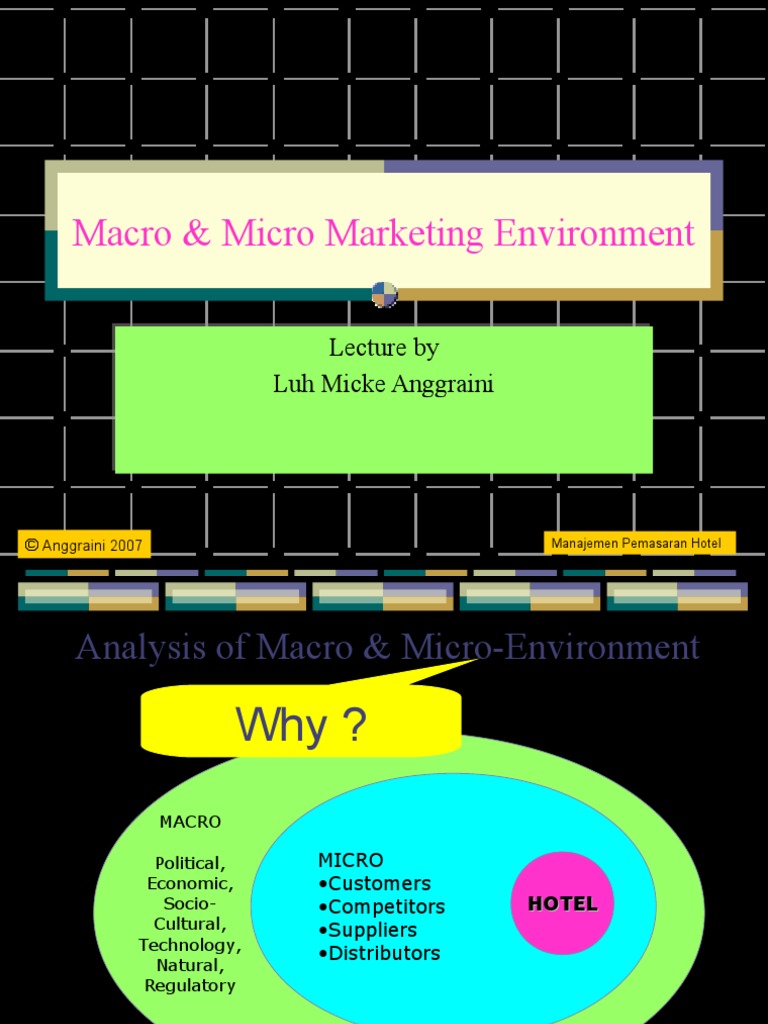 Macro & Micro Marketing Environment: Lecture by Luh Micke Anggraini ...