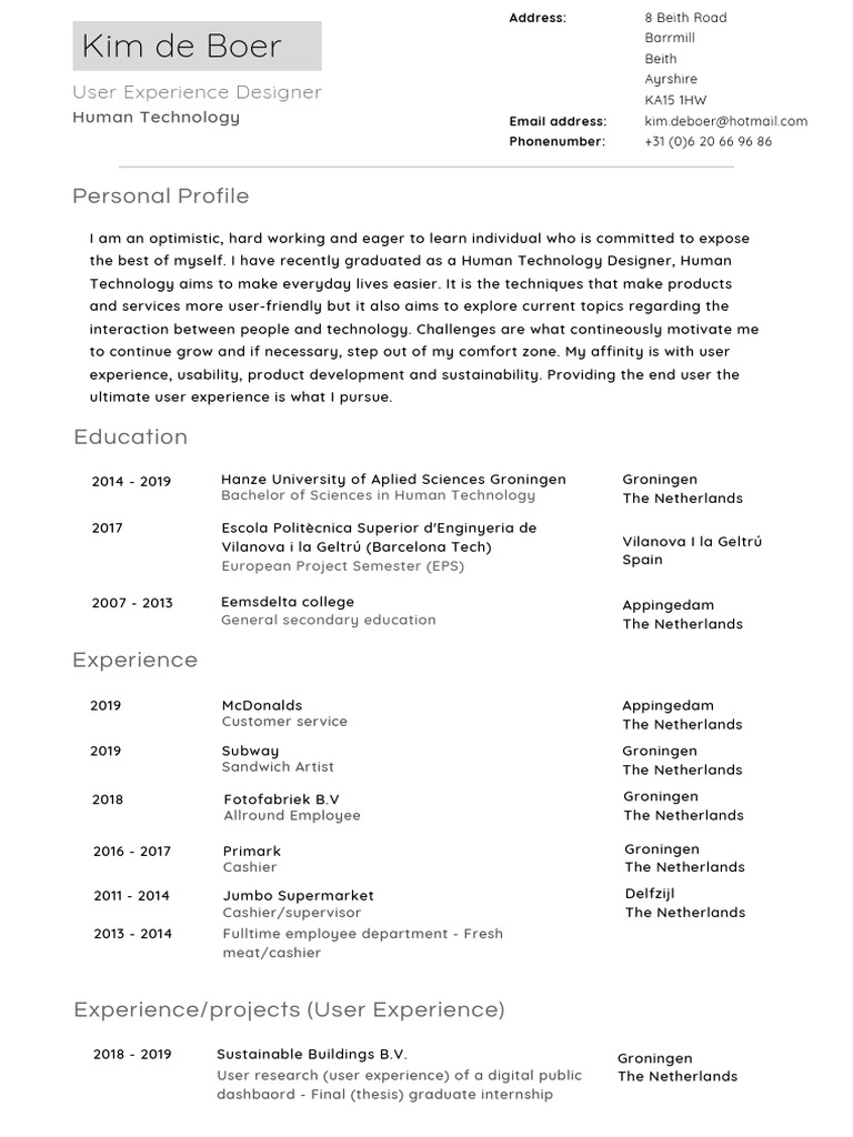 Kim de Boer: Personal Profile | PDF | Usability | Computing And Information Technology