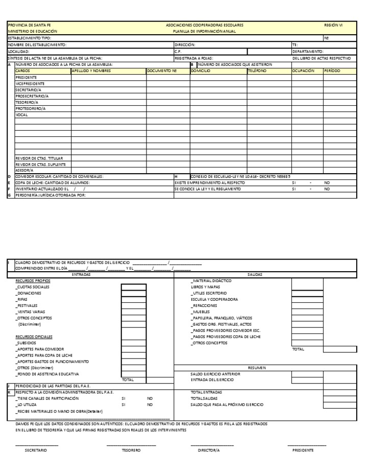 Planilla Anual Cooperadora Escolar Santa Fe | PDF | Gobierno