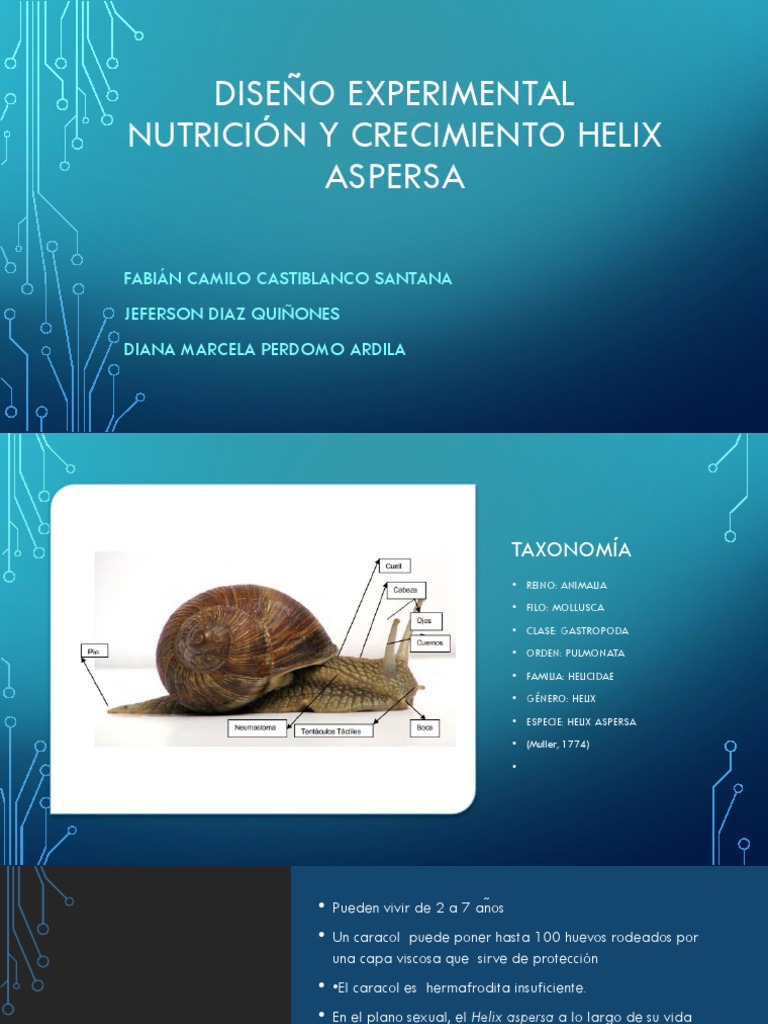 DISEÑO EXPERIMENTAL HELIX ASPERSA | PDF | Organismos | Naturaleza
