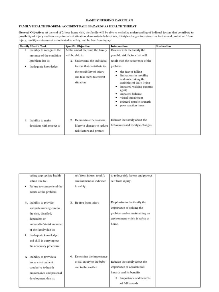 Family Care Plan for Fall Hazards | PDF | Risk | Hazards
