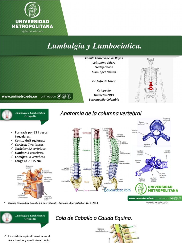 Lumbalgia y Lumbociatica | PDF | Vértebra | Sistema nervioso