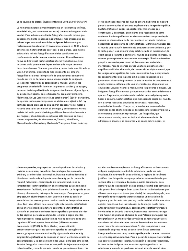 En La Caverna de Platón Susan Sontag, Medios Expresivos 1 Groisman ...