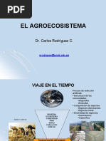 INSECTOS PLAGAS - Tara PDF | PDF | Lepidópteros | Mosca
