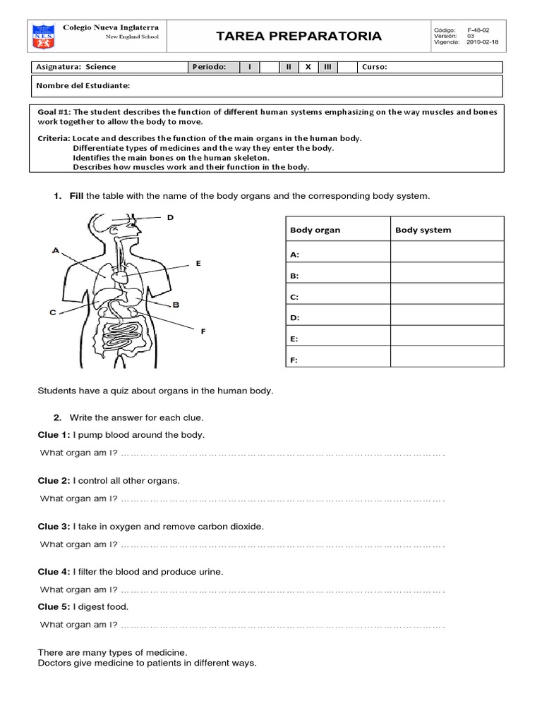 Human Body Systems and Circuits Quiz | PDF | Human Body | Arm