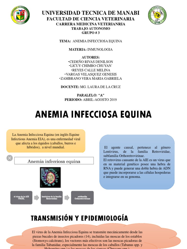 Anemia Infecciosa Equina | PDF | Célula T | Linfocitos
