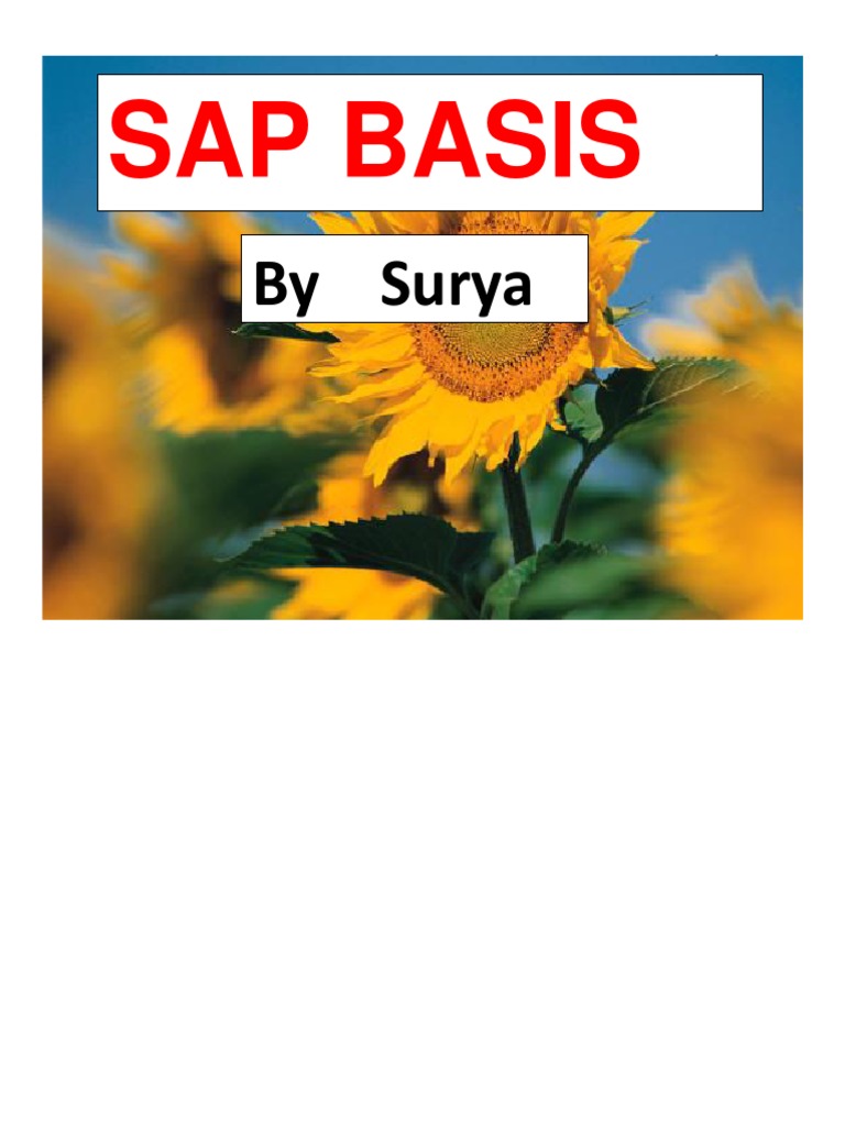 Sap Basis Document Pdf Client Server Model System Software