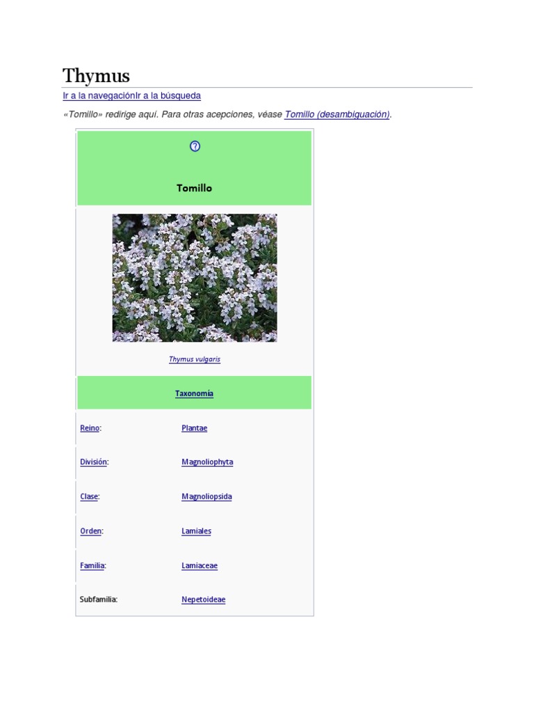 Tomillo | PDF | Plantas comestibles | Hierbas y especias