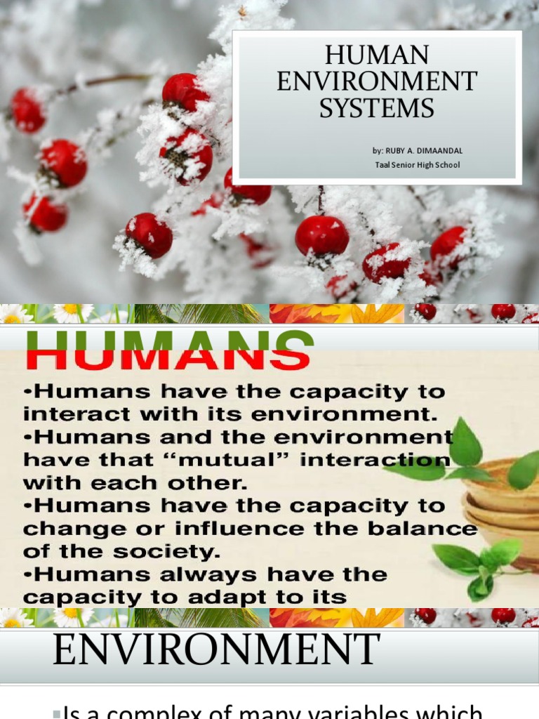 Human Environment System | PDF