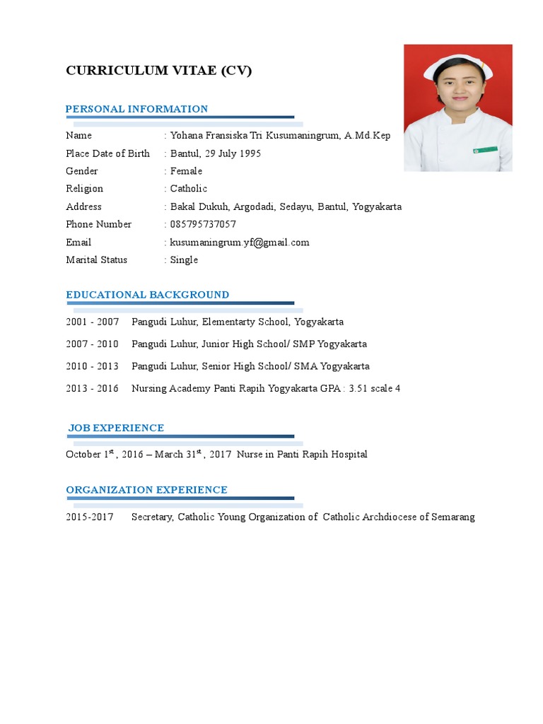 Curriculum Vitae (CV) : Personal Information | PDF