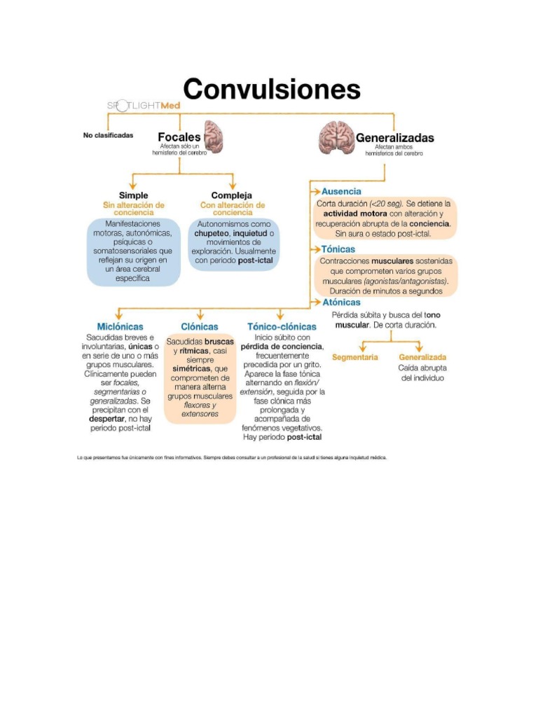 Esquema Convulsiones Medicina Humana | PDF